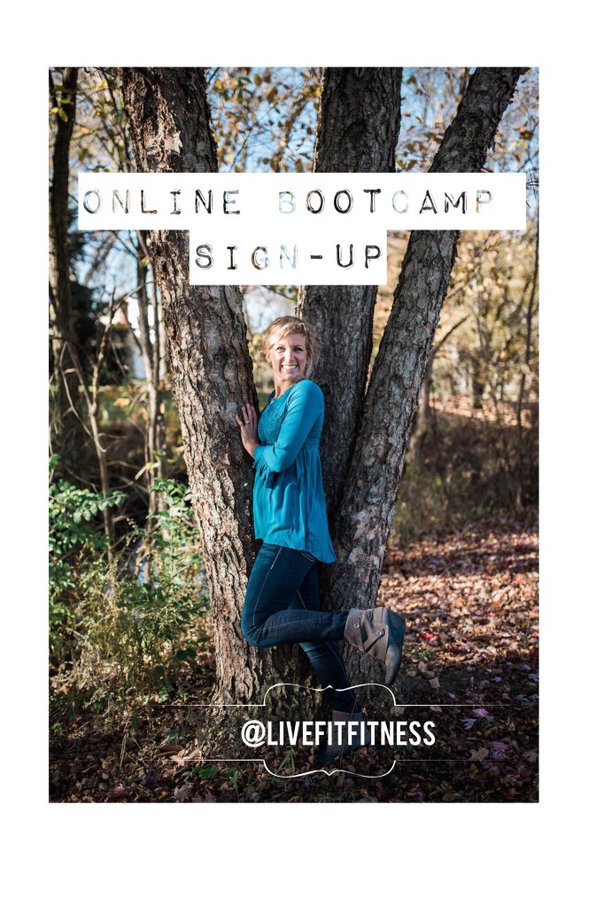 Live Fit Women's Fitness | On Mission with women to take charge of both ...